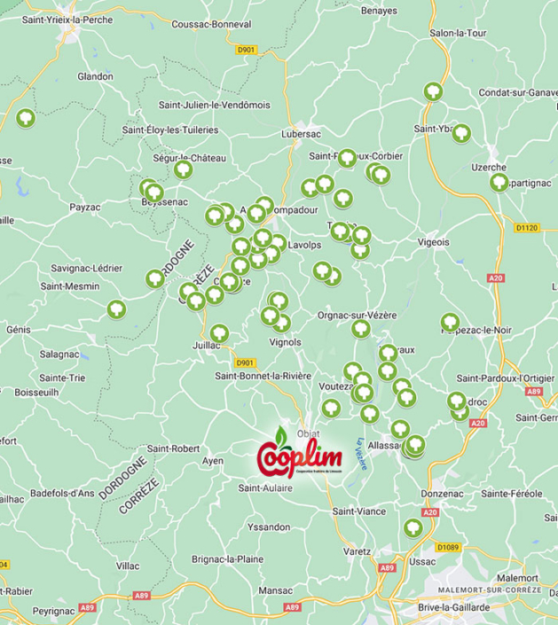 Cooplim, Coopérative Fruitière du Limousin, pommes AOP et bio du Limousin